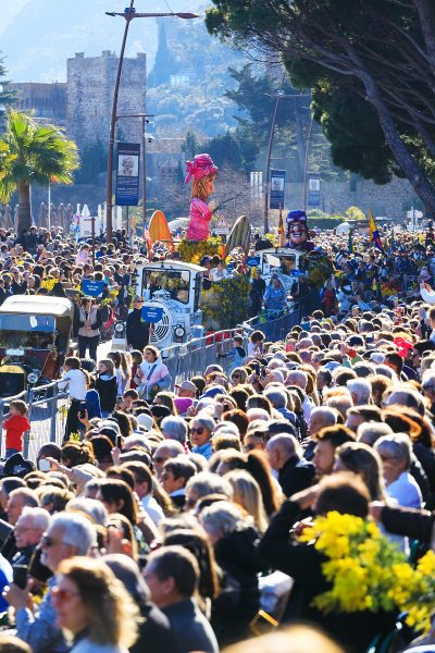 The Mimosa Festival