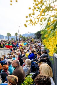 The Mimosa Festival